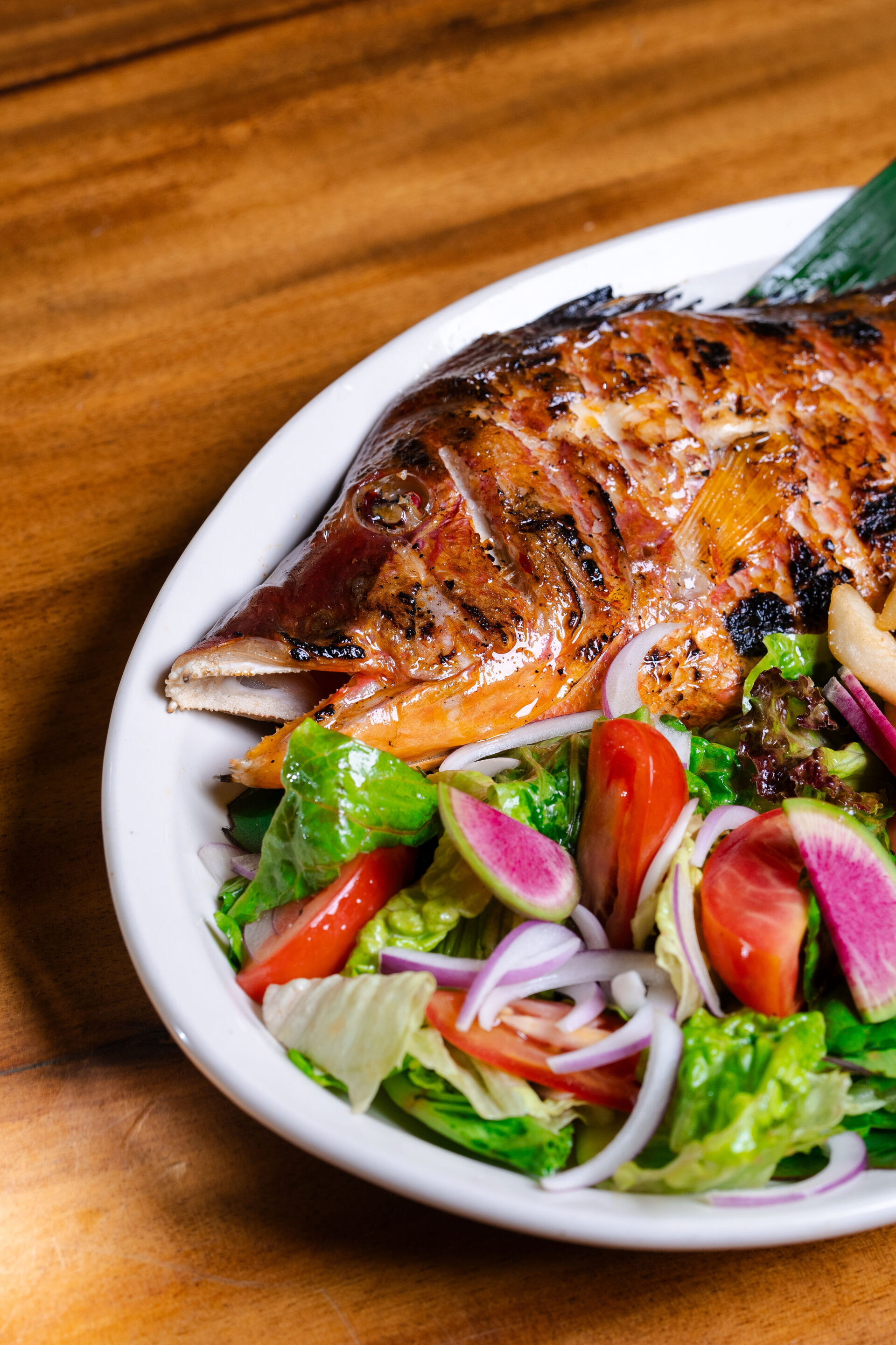 Home - Oasis Seafood Restaurant